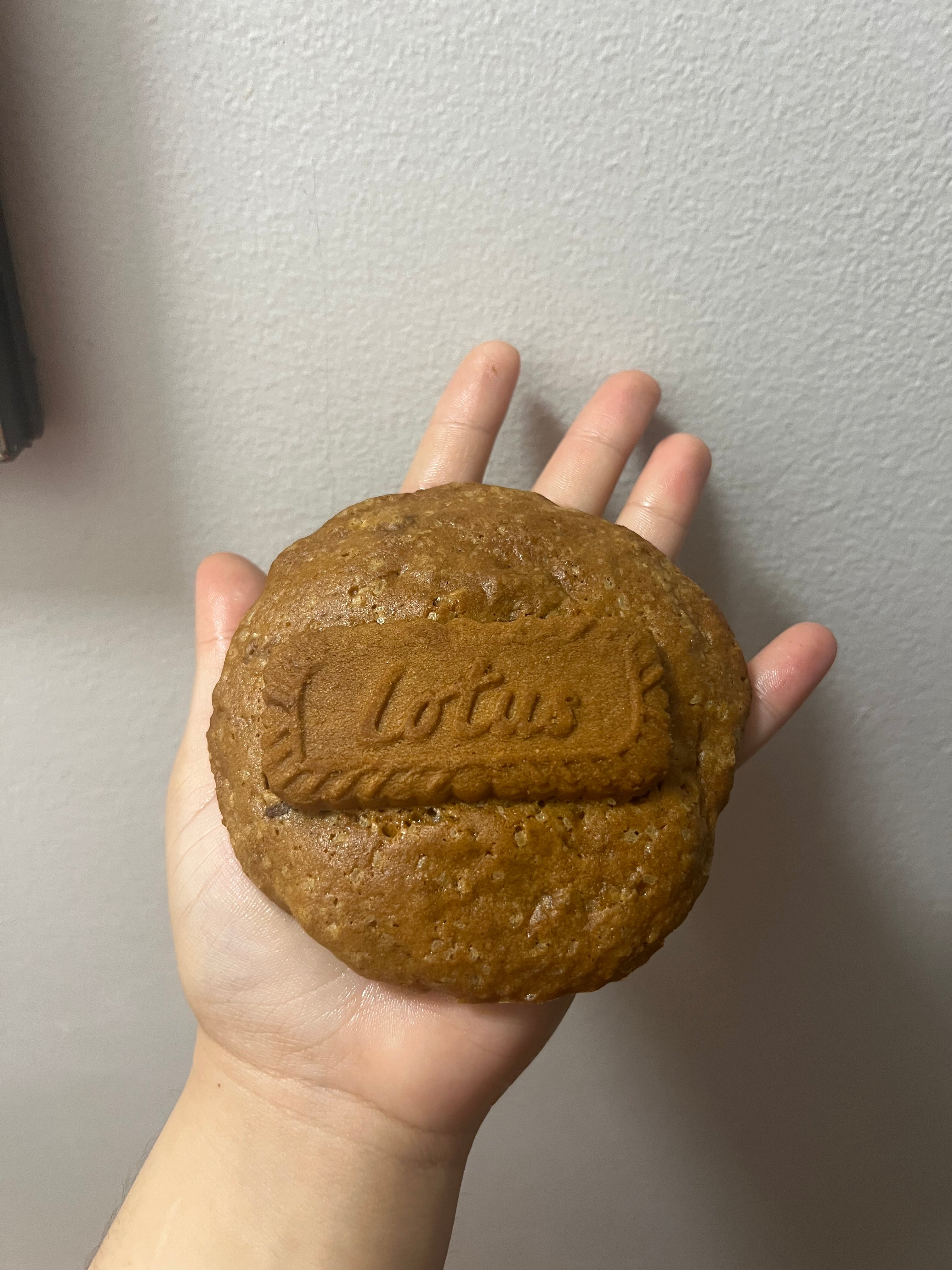 Triple Dulce Biscoff Dream Cookie – Angiesbakerymobile